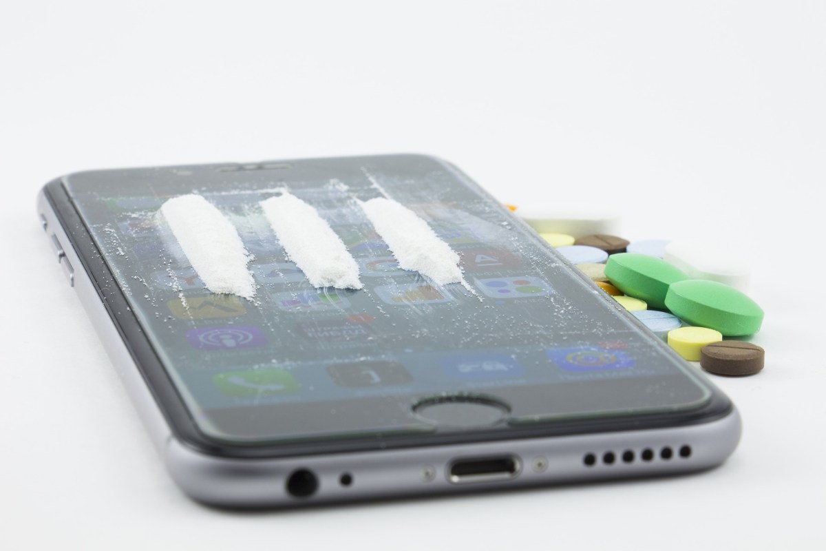 Sevrage drogues & alcool : la piste d’une plante extraordinaire ...